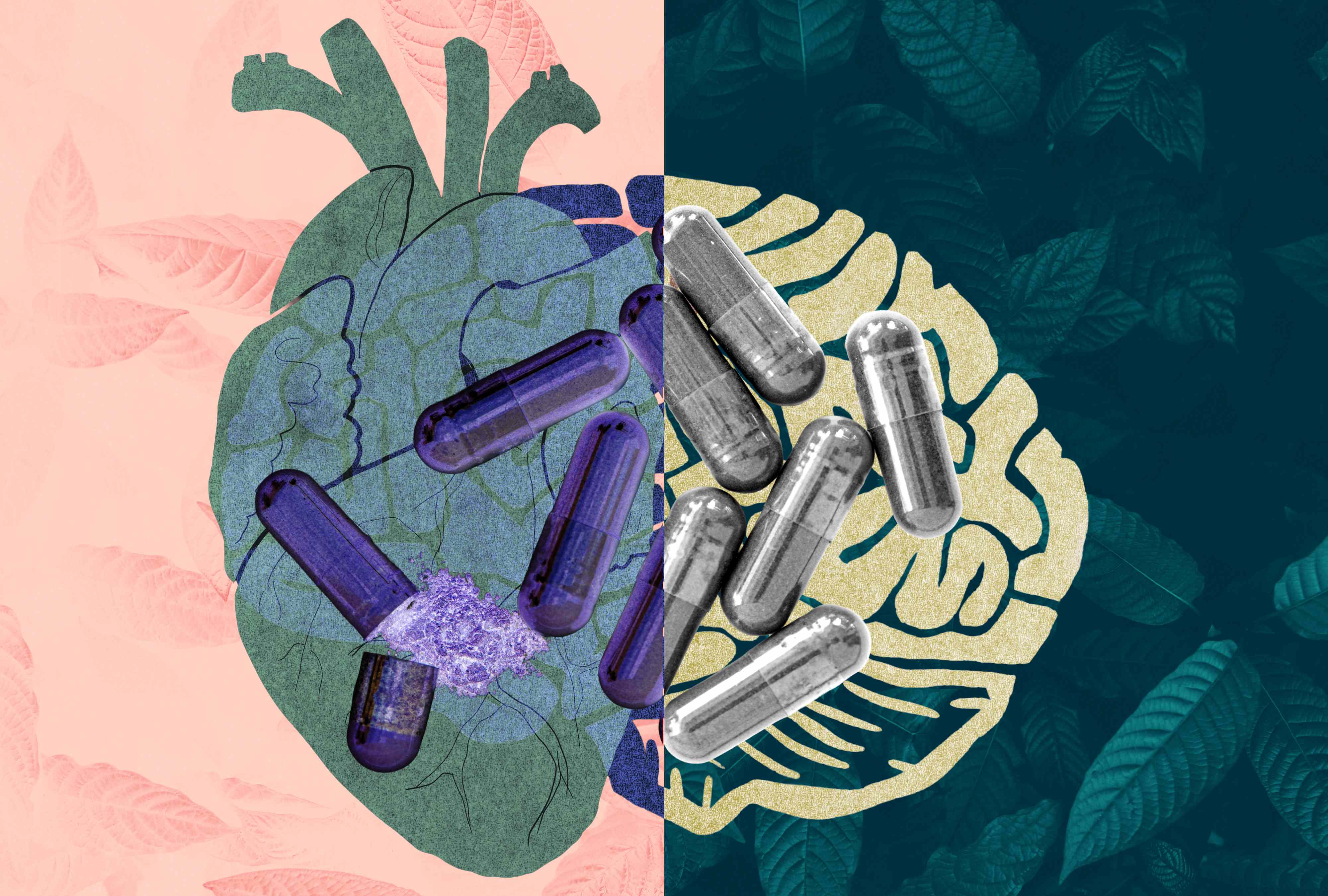 Kratom Is Sold as an All-Natural Wellness Product. But for Some, It Can ...