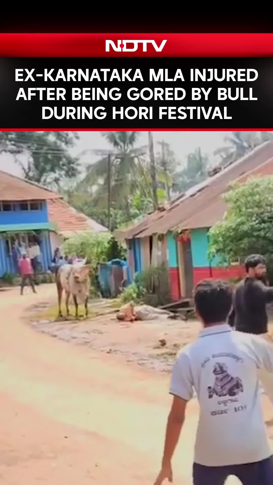 Video: Karnataka Ex-MLA Gored During Bull Race Festival