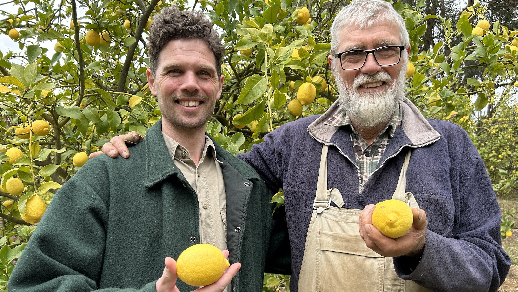 Father and son grow delicate citrus blossoms for niche liqueur market