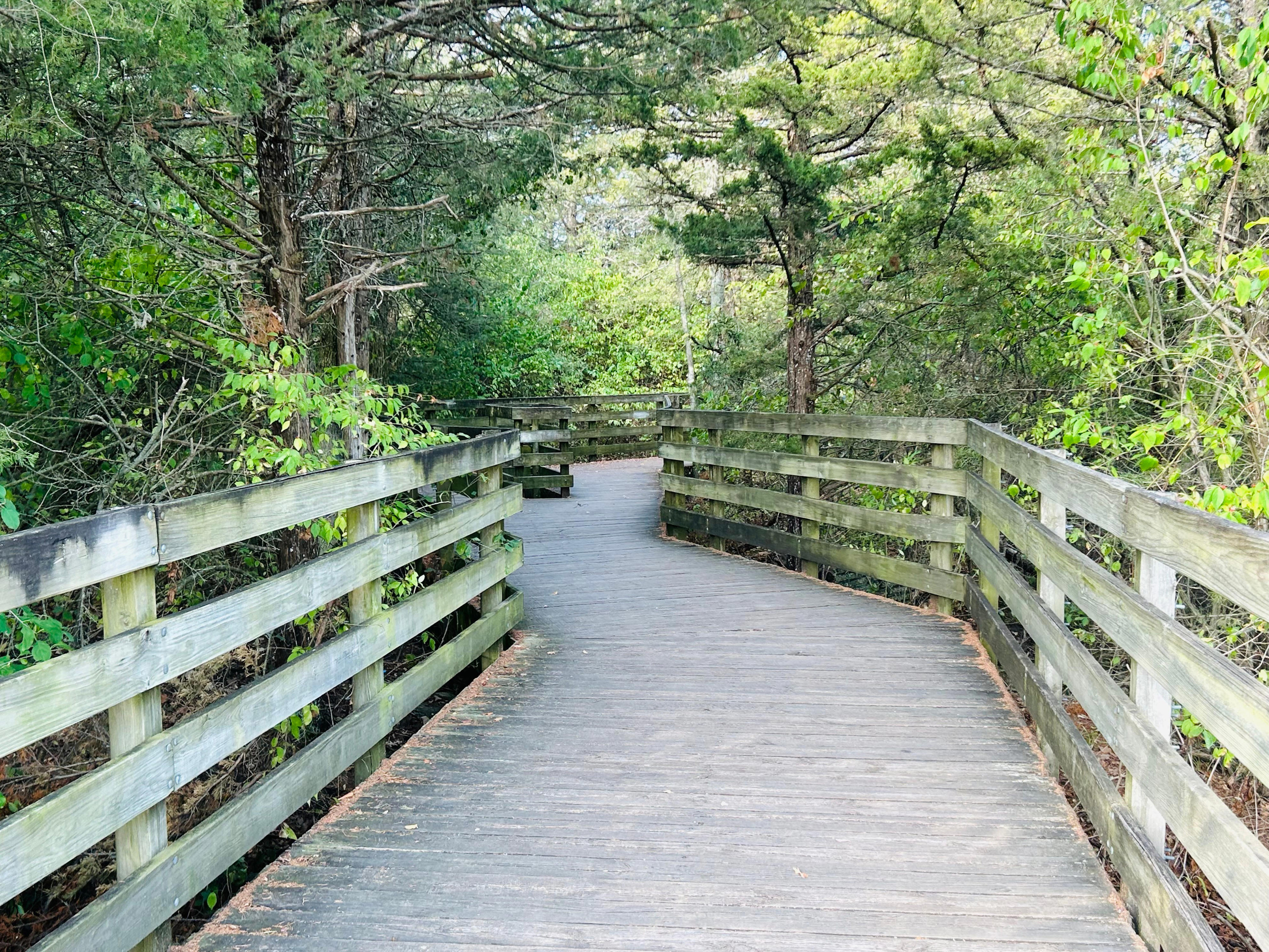World Atlas names 7 Alabama towns among the most laid-back for 2025. Do ...