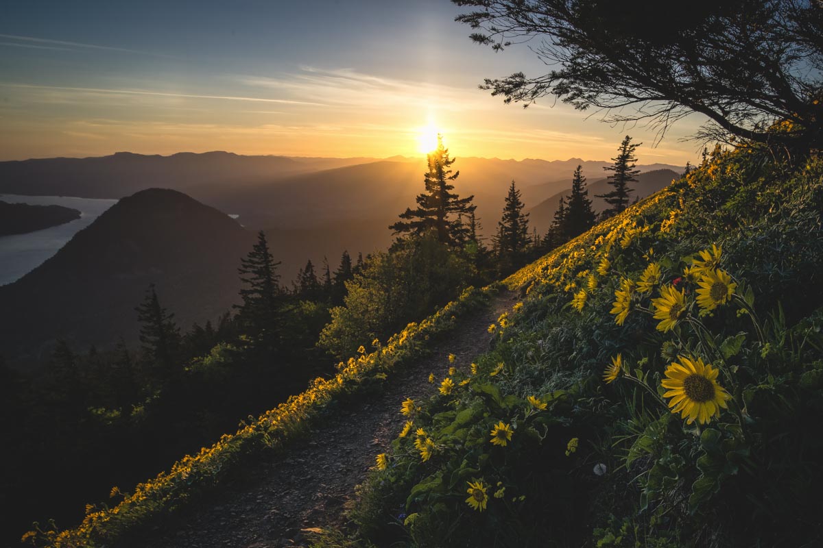 7 Scenic Drives in Washington That Will Take Your Breath Away