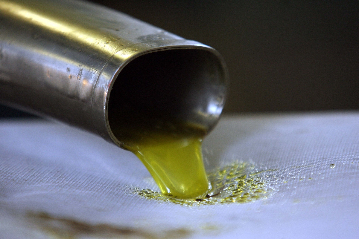 Έλληνες ερευνητές και εντερικό μικροβίωμα: Μελετούν τη δράση της ουσίας ...