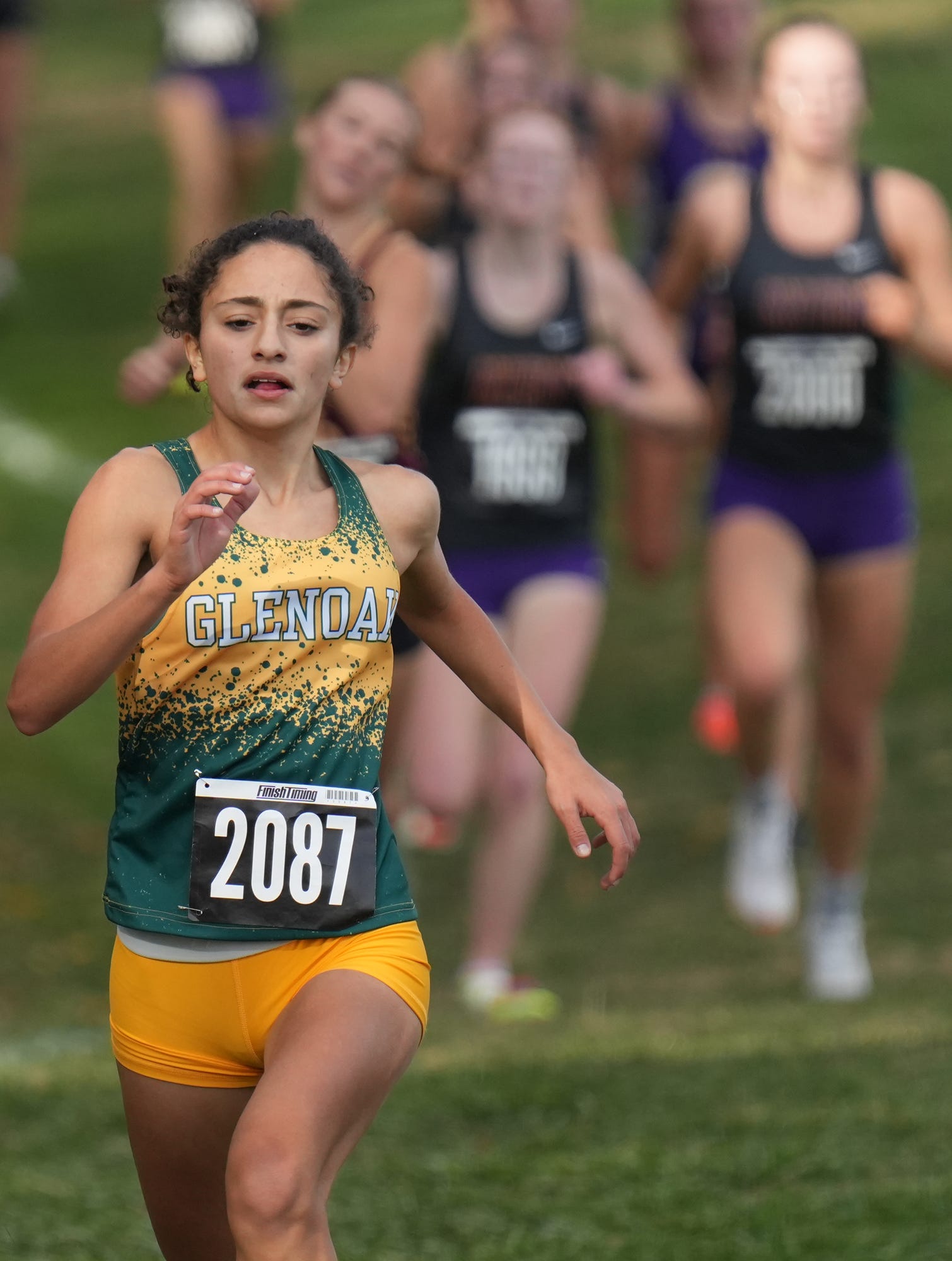 OHSAA Cross Country Championships schedule, Canton-area state ...