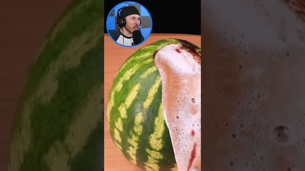 A thousand rubber bands used in a watermelon experiment