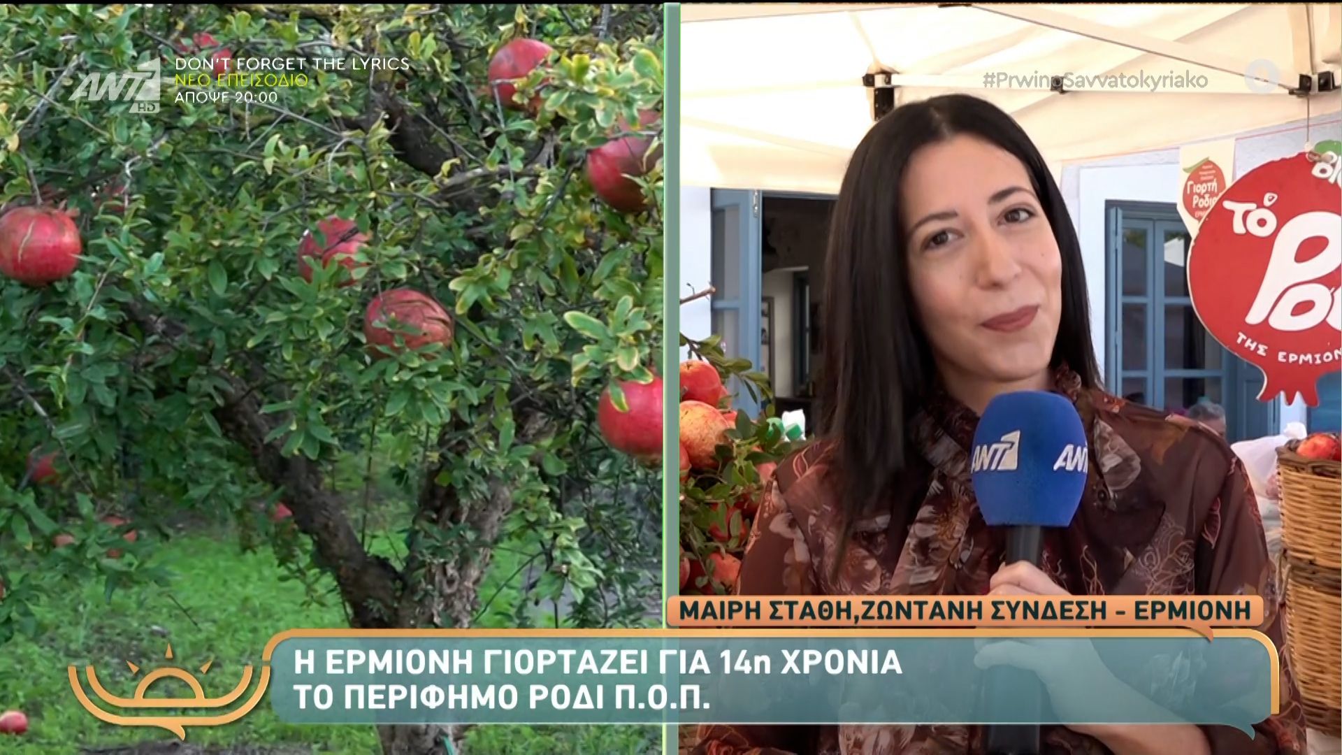 Η Ερμιόνη γιορτάζει για 14η χρονιά το περίφημο ρόδι Π.Ο.Π – Πρωινό ...