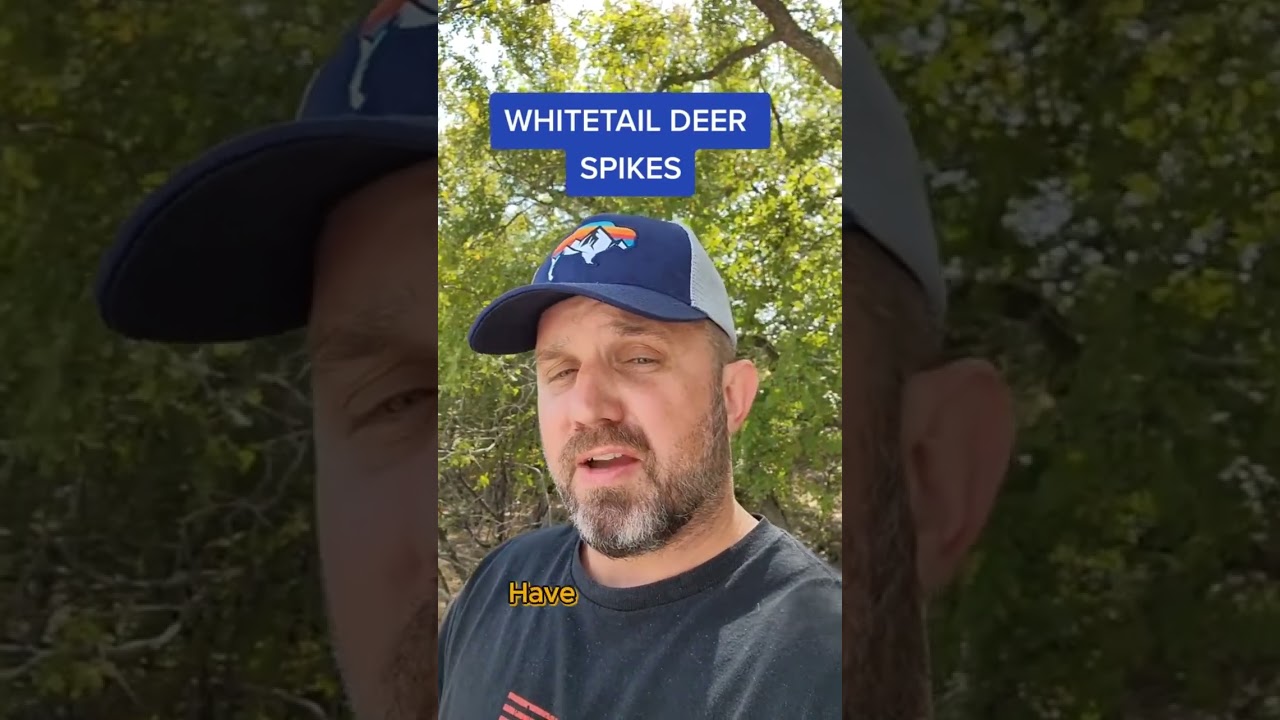 Guide to Whitetail Deer