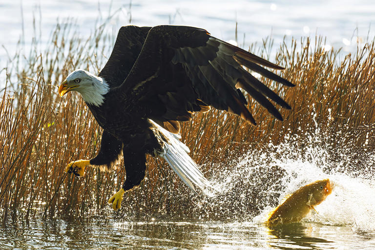 Best SW Florida reader photos include Fort Myers Beach, Venice, Lehigh ...
