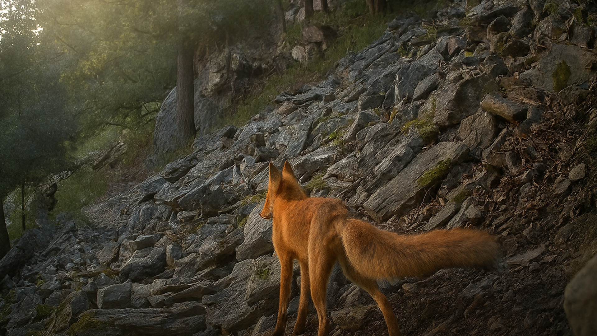 Caméra animalière installée près de la rivière : découvrez ce qu’elle a ...