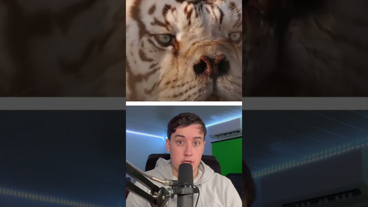 A tiger previously suspected of Down syndrome appears healthy