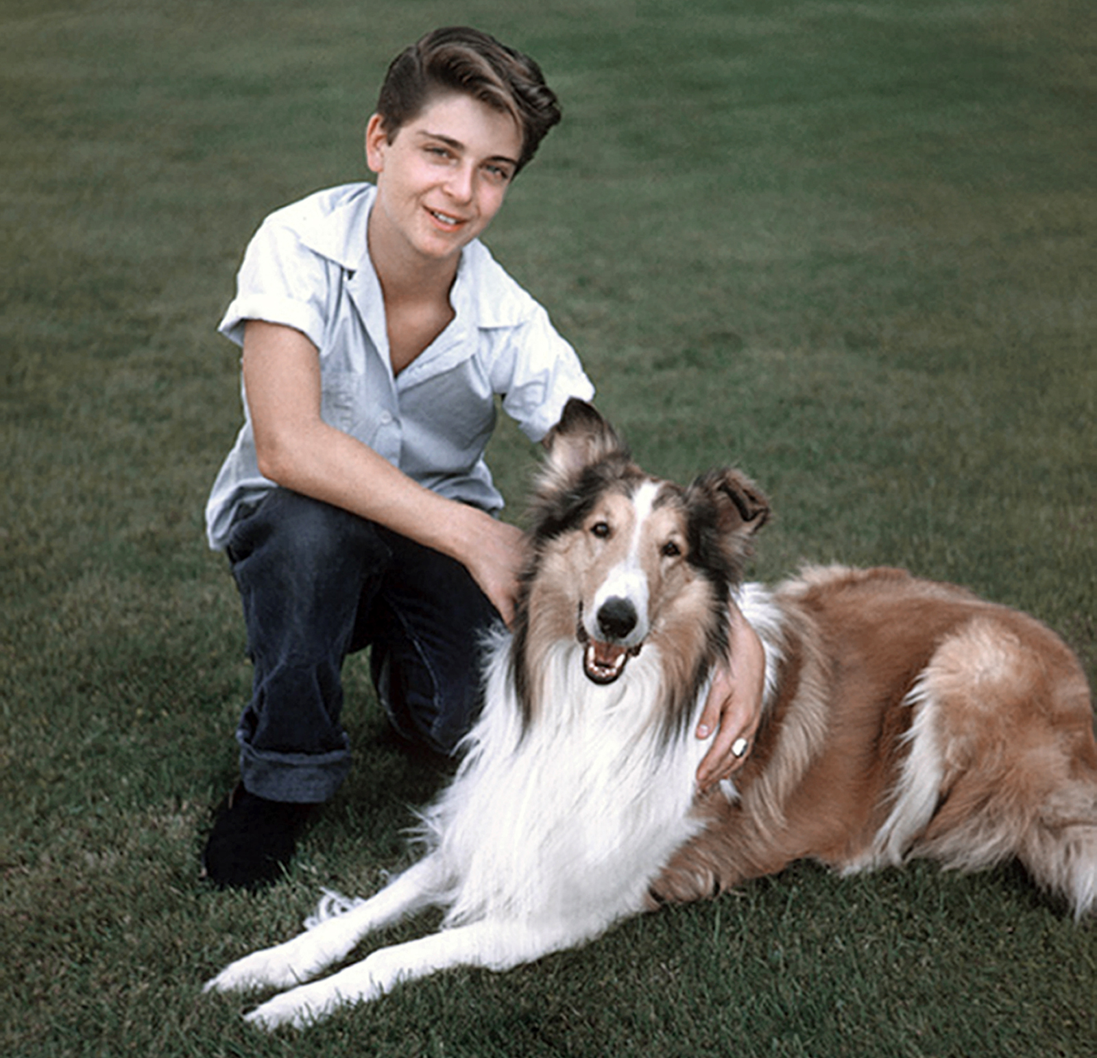The 'Lassie' Cast, Then and Now | Woman's World