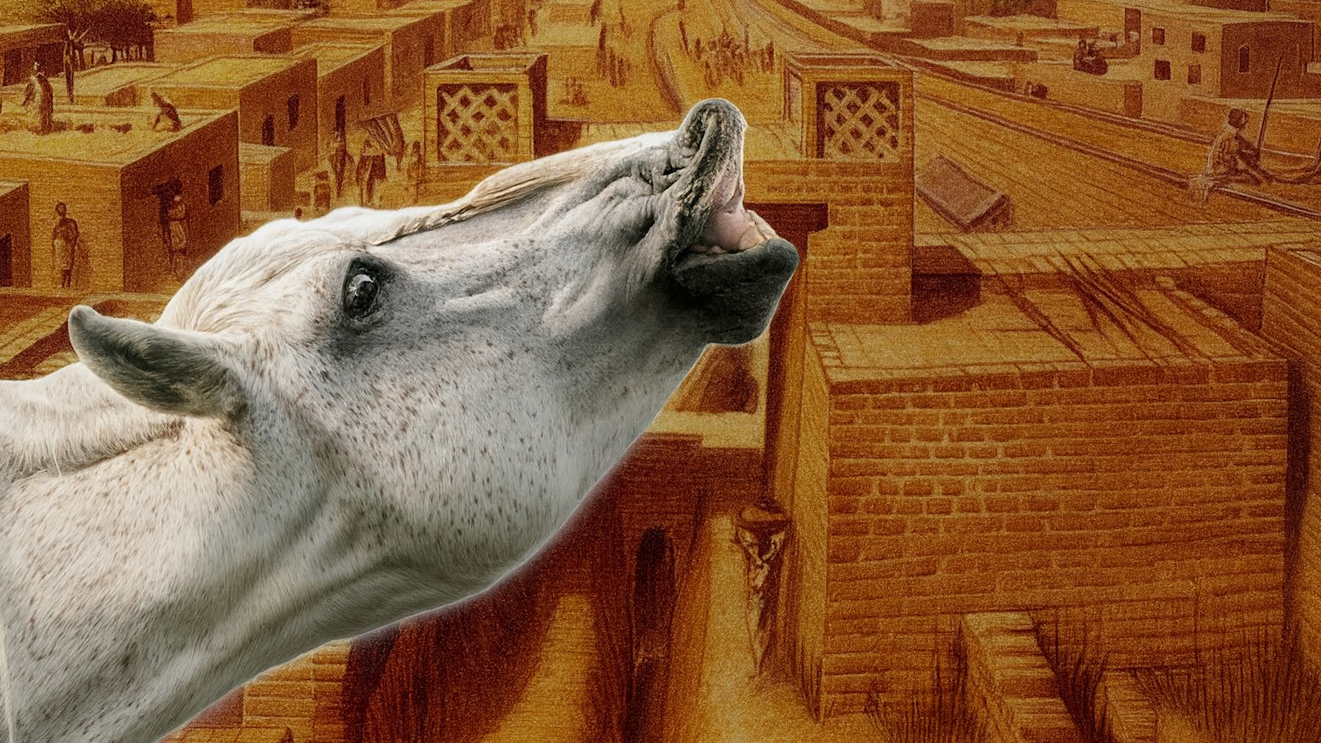 Were Horses Native to the Indus Valley?