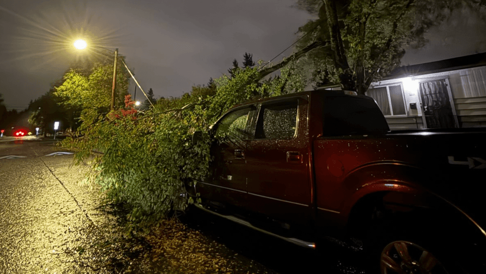 Strong winds knock out power to thousands in western Washington