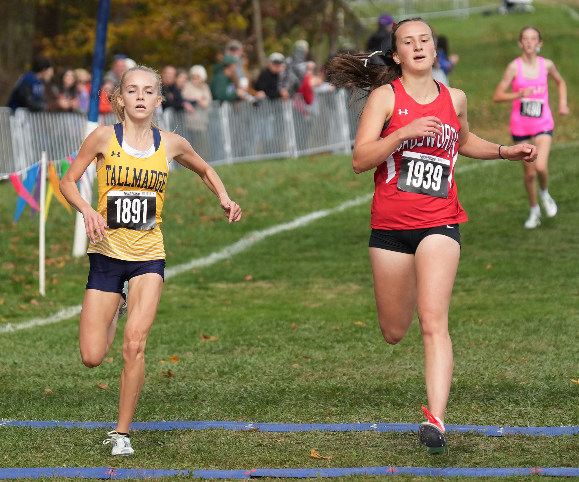 A look at the best runners in 2025 Greater Akron girls cross country