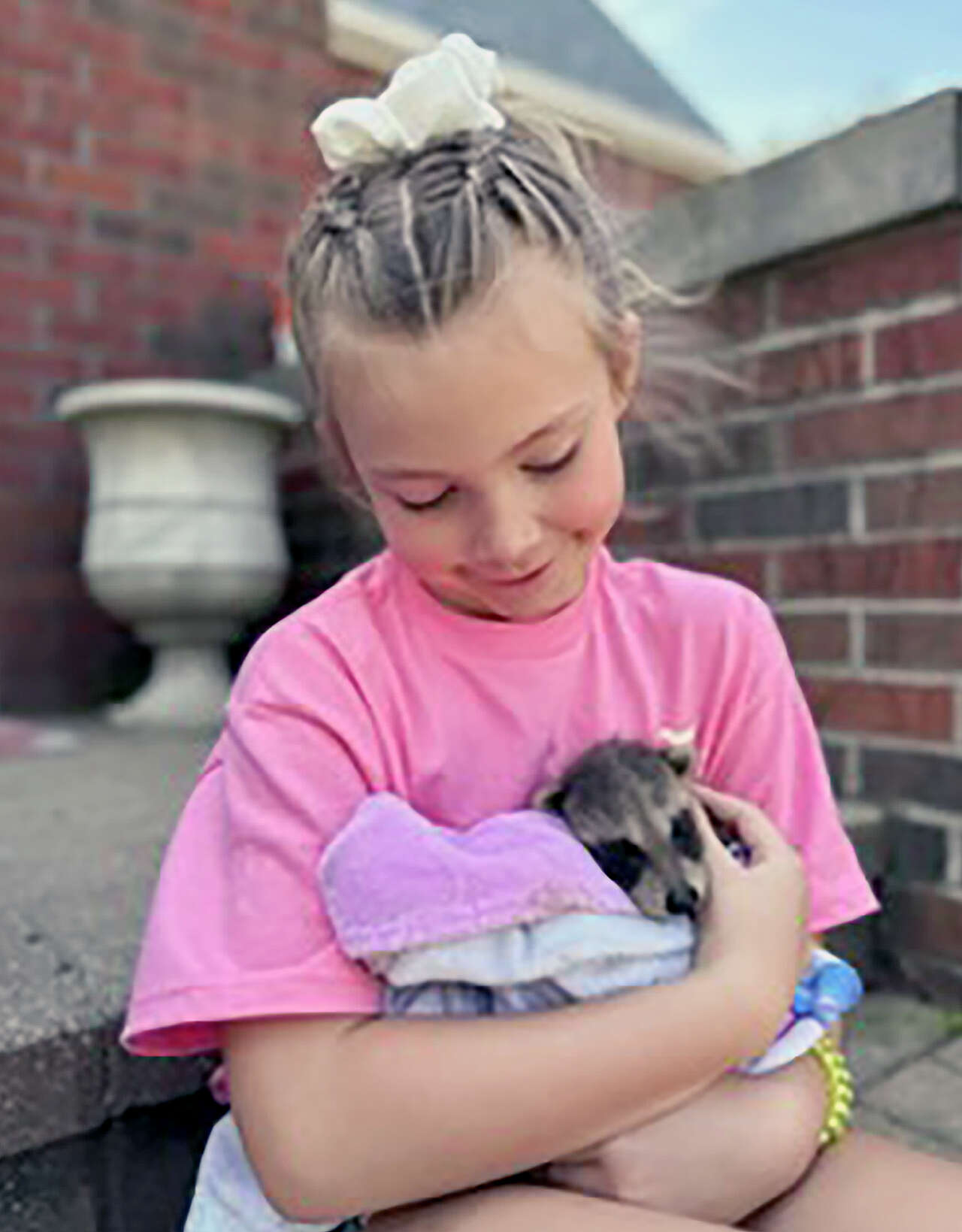 Beyond cats and dogs: Today's pets not your typical household animals