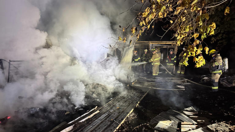 Officials: Several dogs died in Sunday morning fire