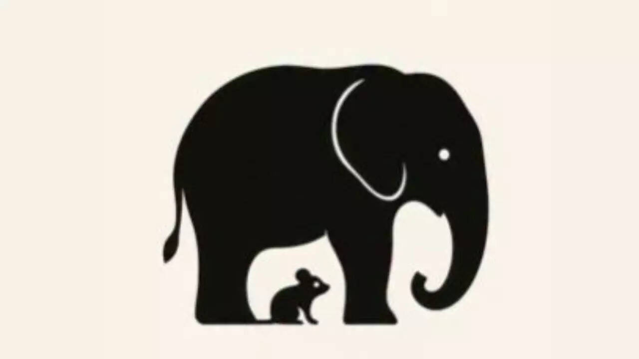 Optical illusion personality test: Elephant or mouse? The animal you ...