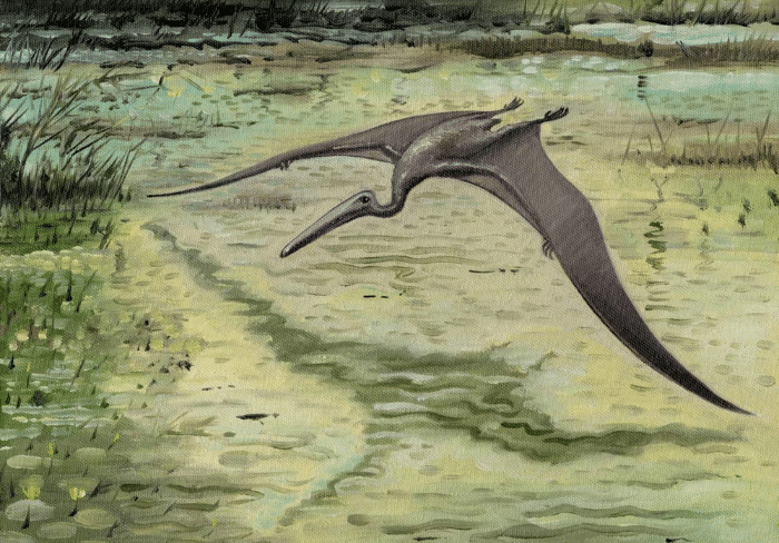 The Real-Life Origins of Mythic Creatures