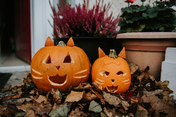 Best method to preserve pumpkins from rotting before Halloween