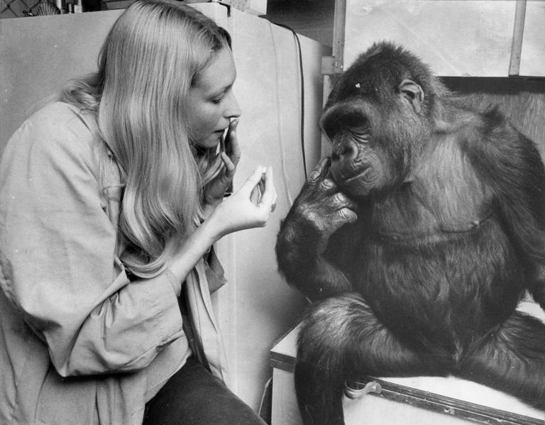 15 Of The Most Extraordinary Animals Who Ever Lived