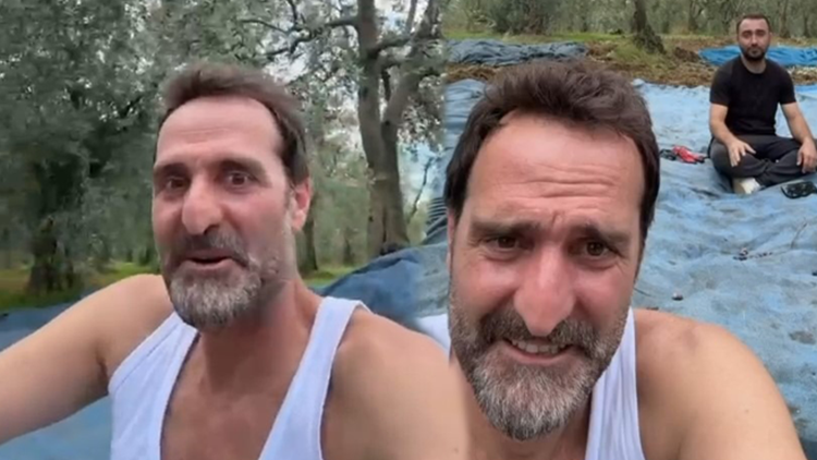 Ünlü oyuncu İznik'te arsa aldı... İlk zeytin hasadını yaptı!