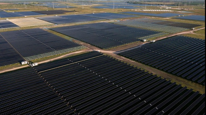 What's The Largest Solar Farm In Texas And How Much Electricity Does It ...