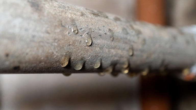 The Weather-Related Problem That's Causing Your Pipes To Sweat
