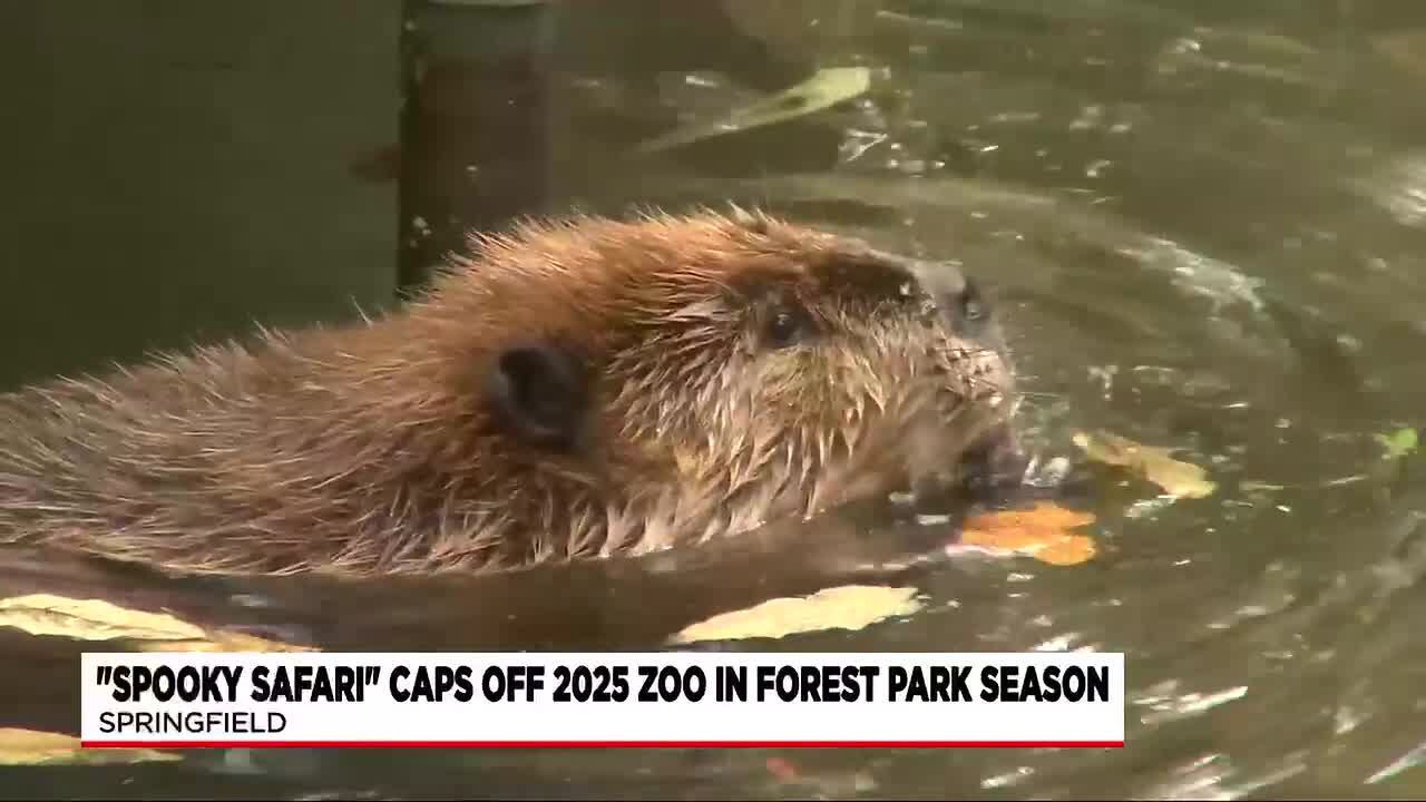 Forest Park Zoo hosts their Spooky Safari