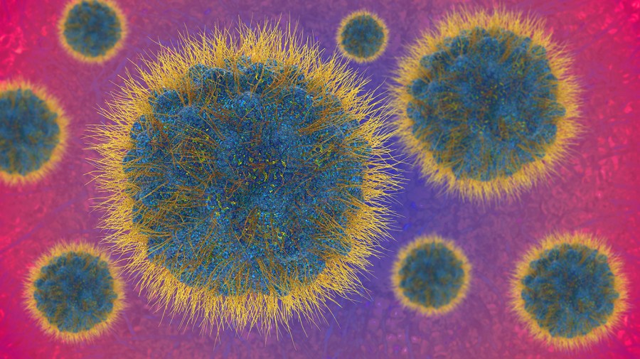 El Paso reports first mpox case of the year