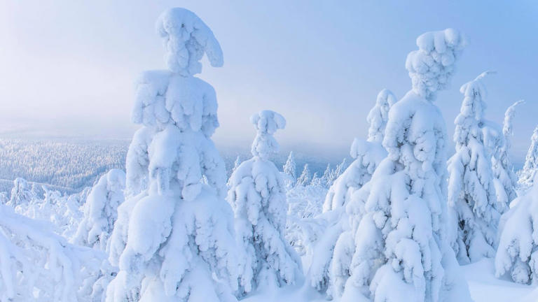 MLS Cup Playoffs Bracket: Conference Semifinals, All Possible Conference Finals Matchups