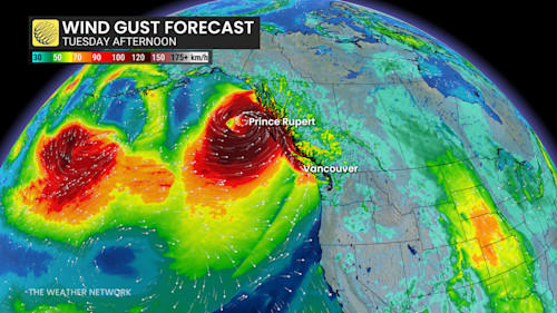 B.C.'s storm parade marches on with more wet weather this week