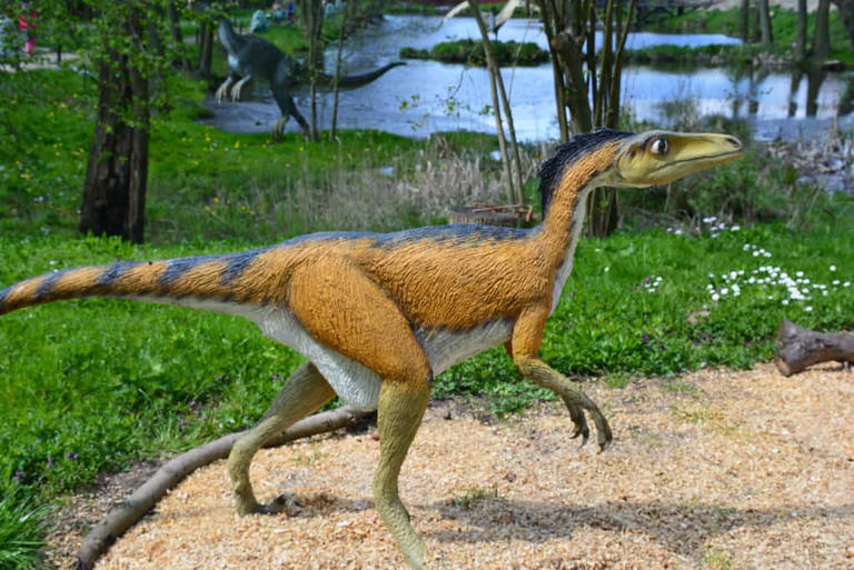 Discover Troodon formosus: The Smartest Dinosaur to Ever Walk the Earth