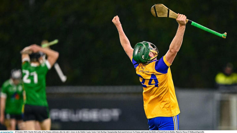 Currie's late winner lifts Na Fianna over Lucan to defend Dublin crown