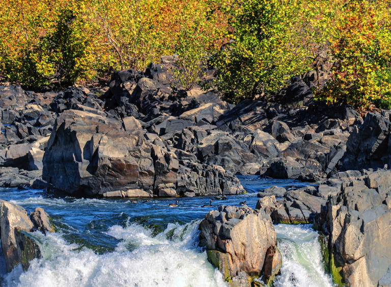 CWG Live updates: Seasonably cool tonight and into the early workweek