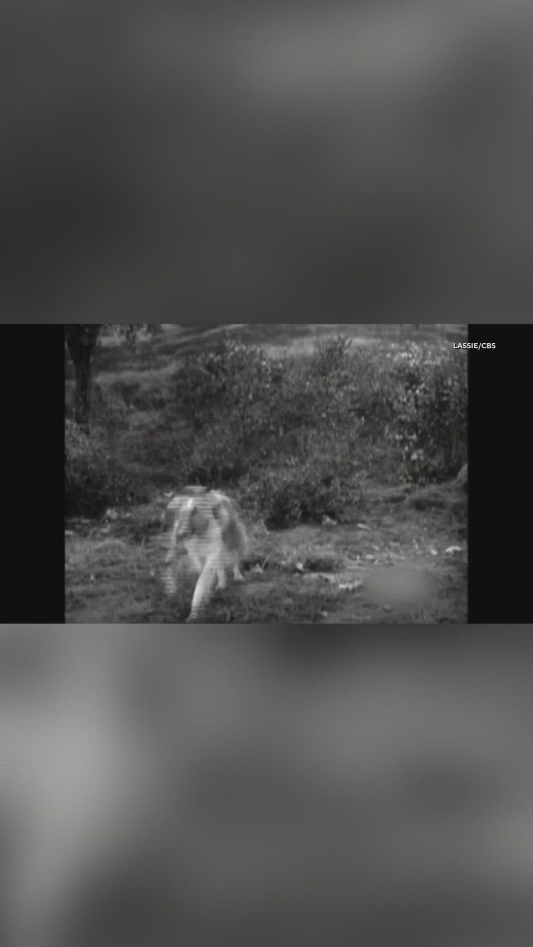 June Lockhart dies at 100