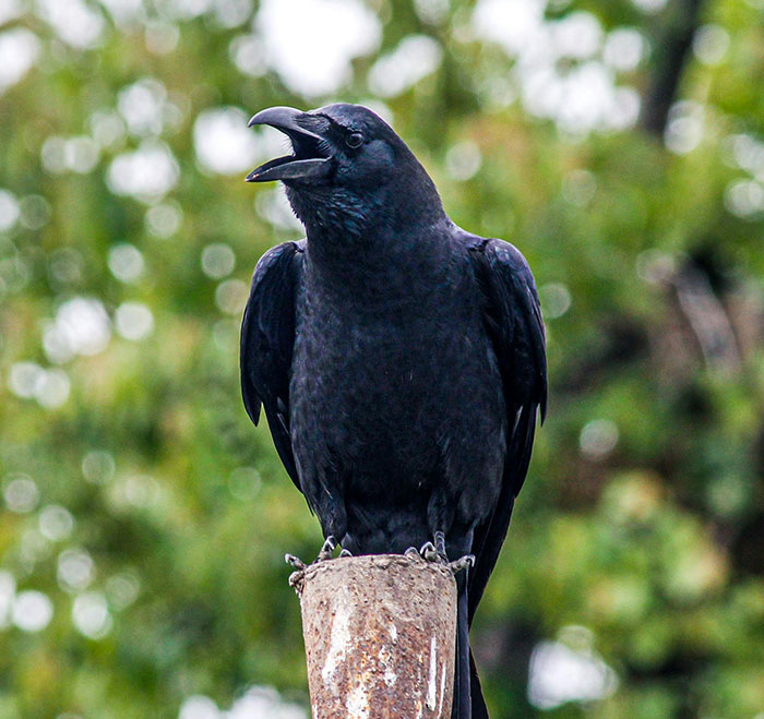 28 Interesting Facts To Intrigue The Ever-Curious