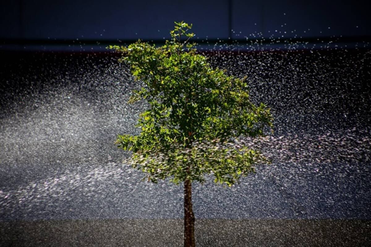 Clima Mexicali: Máximas de 36 centígrados para este domingo