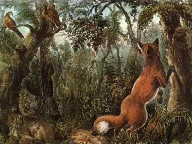 99% can see only the Fox, but only 1% can see the Other Hidden Animals ...