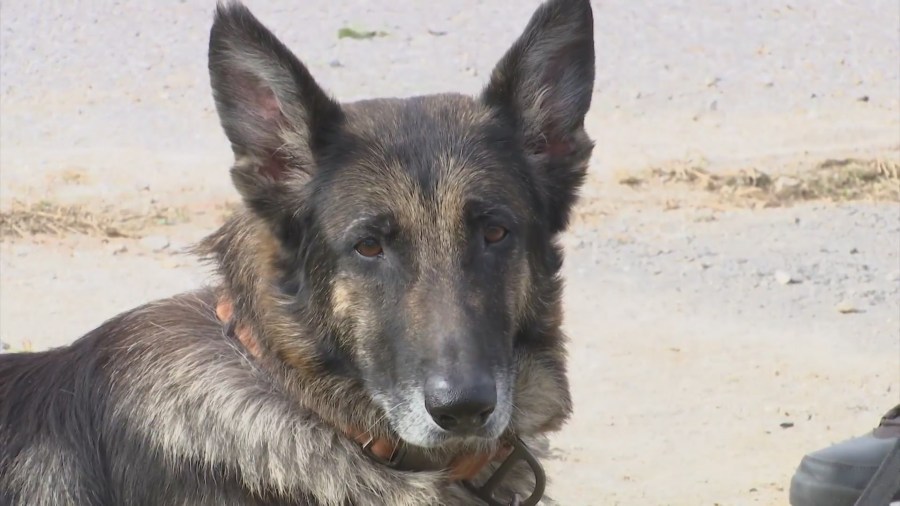 Ironton community welcomes new dog park