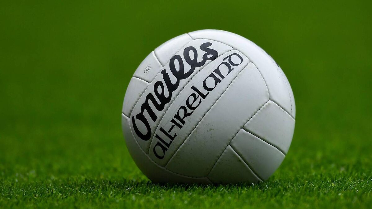 Stradbally return to Déise senior football ranks as they defeat Brickey ...