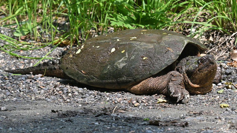 One Of Michigan's Most Underrated Gems Is A Nature Preserve With ...