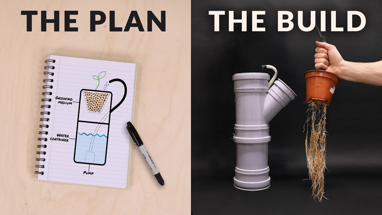 I built a self watering hydroponic system│2 months timelapse