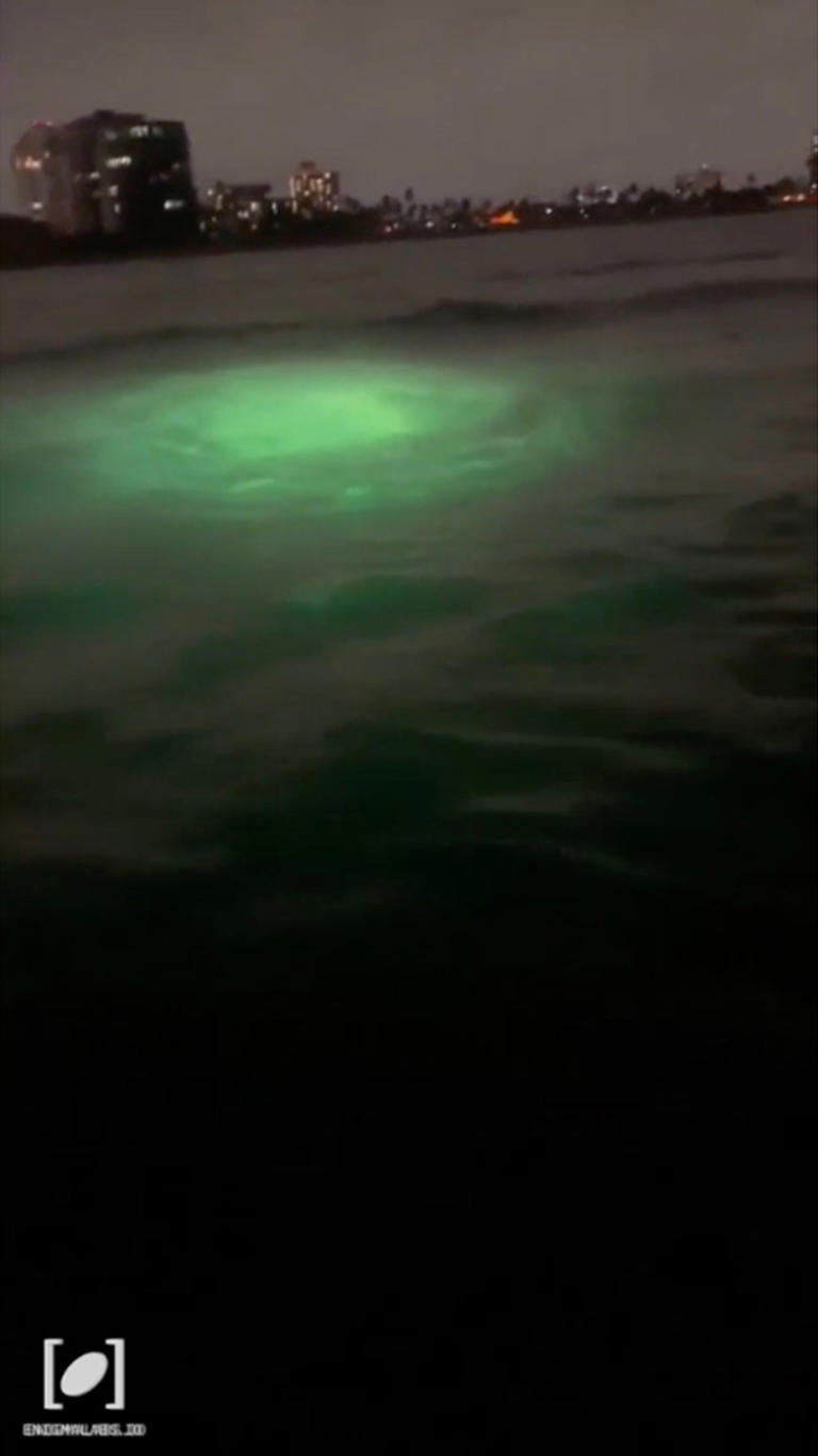 UFO tracker shows thousands of eerie underwater objects lurking along ...