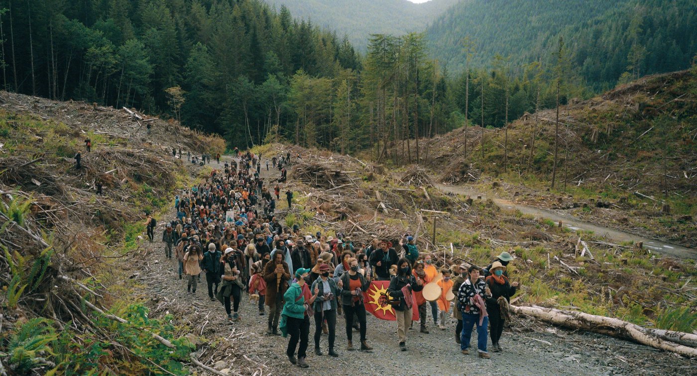 A documentary highlighting the 2021 Fairy Creek standoff makes its N.S ...