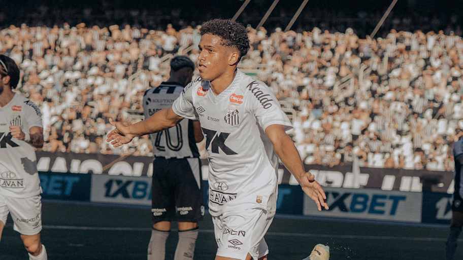 Erros defensivos marcam empate animado entre Botafogo e Santos; veja ...