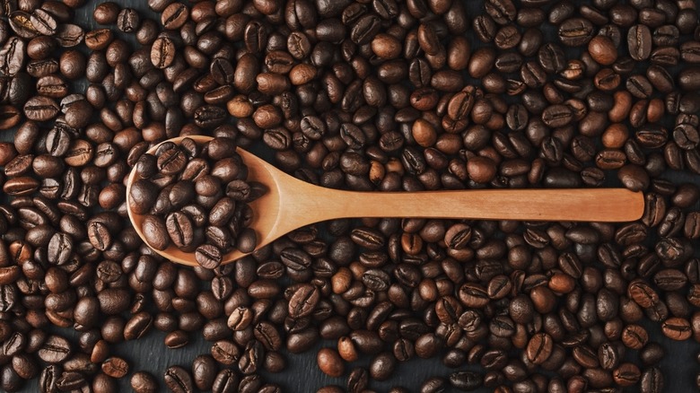 13 Best Brewing Methods (And Beans) For Making Iced Coffee