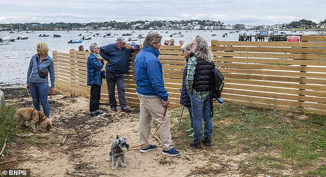Sandbanks millionaires go to war with dog walkers after beach they've ...