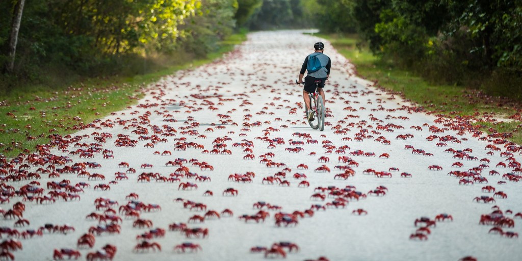 “The world’s greatest migration” is happening right now