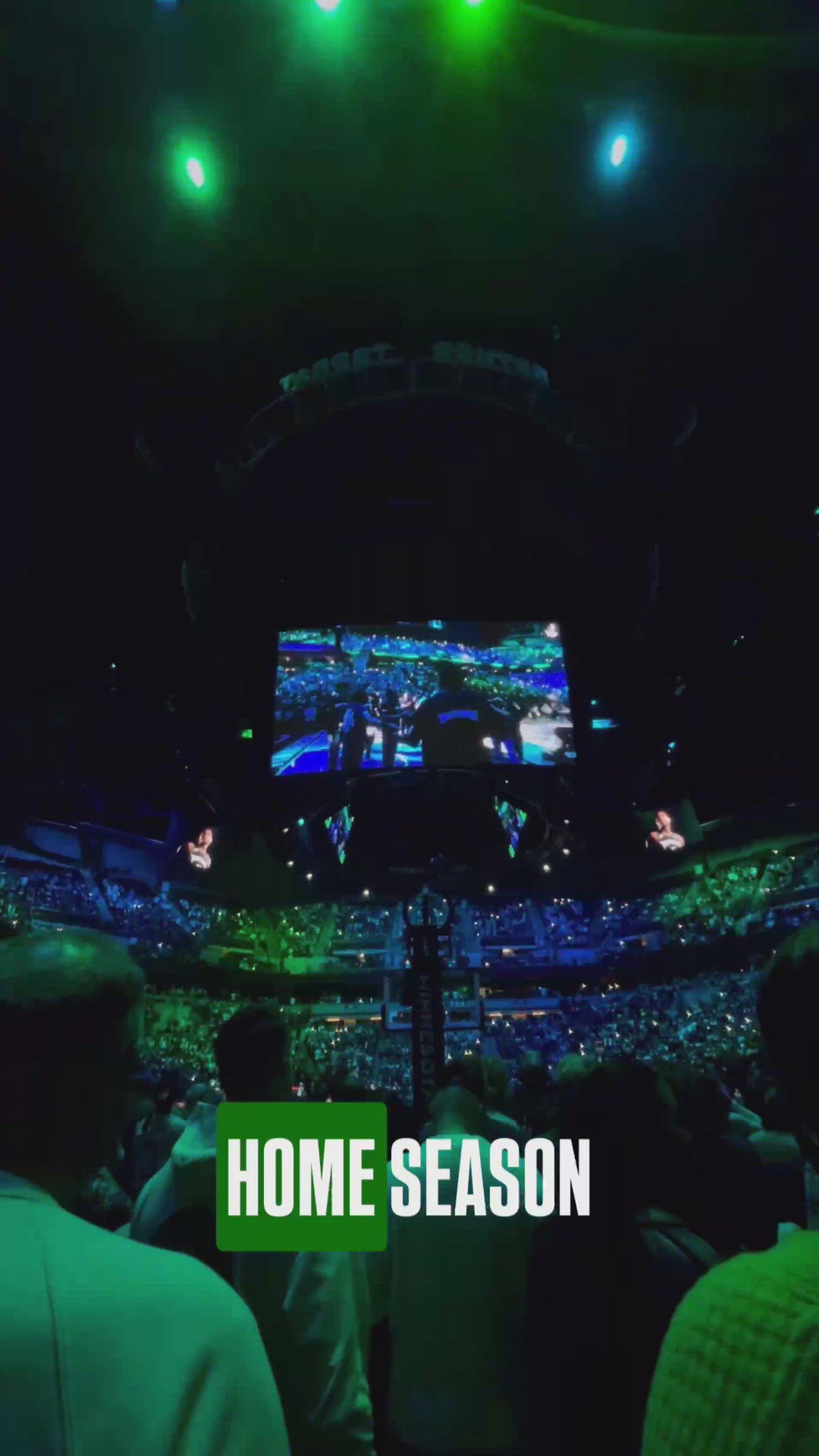 Trees return for the Timberwolves