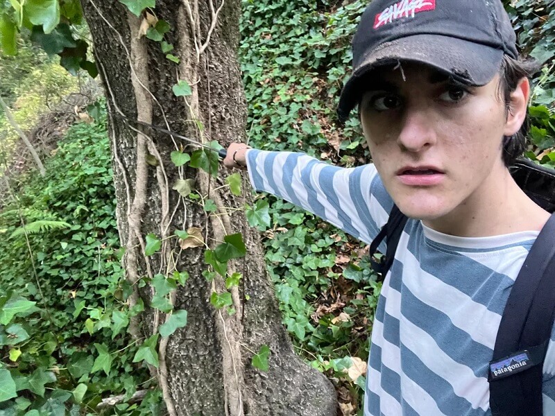 Resident issues urgent PSA over notorious plant taking over American ...