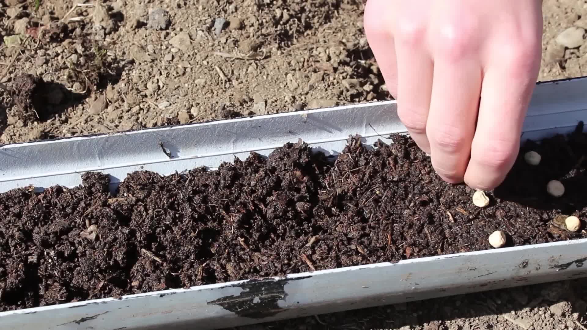 17 genius free vegetable gardening tips